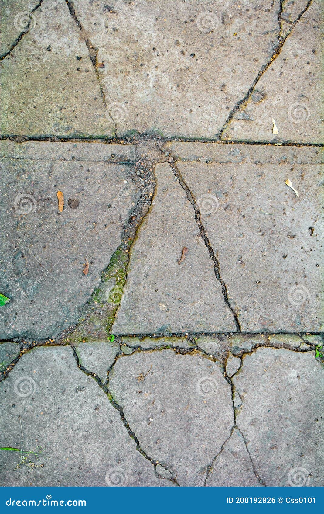 Cracked Concrete Brick Pathway Texture. Broken Sidewalk Tiles Stock ...