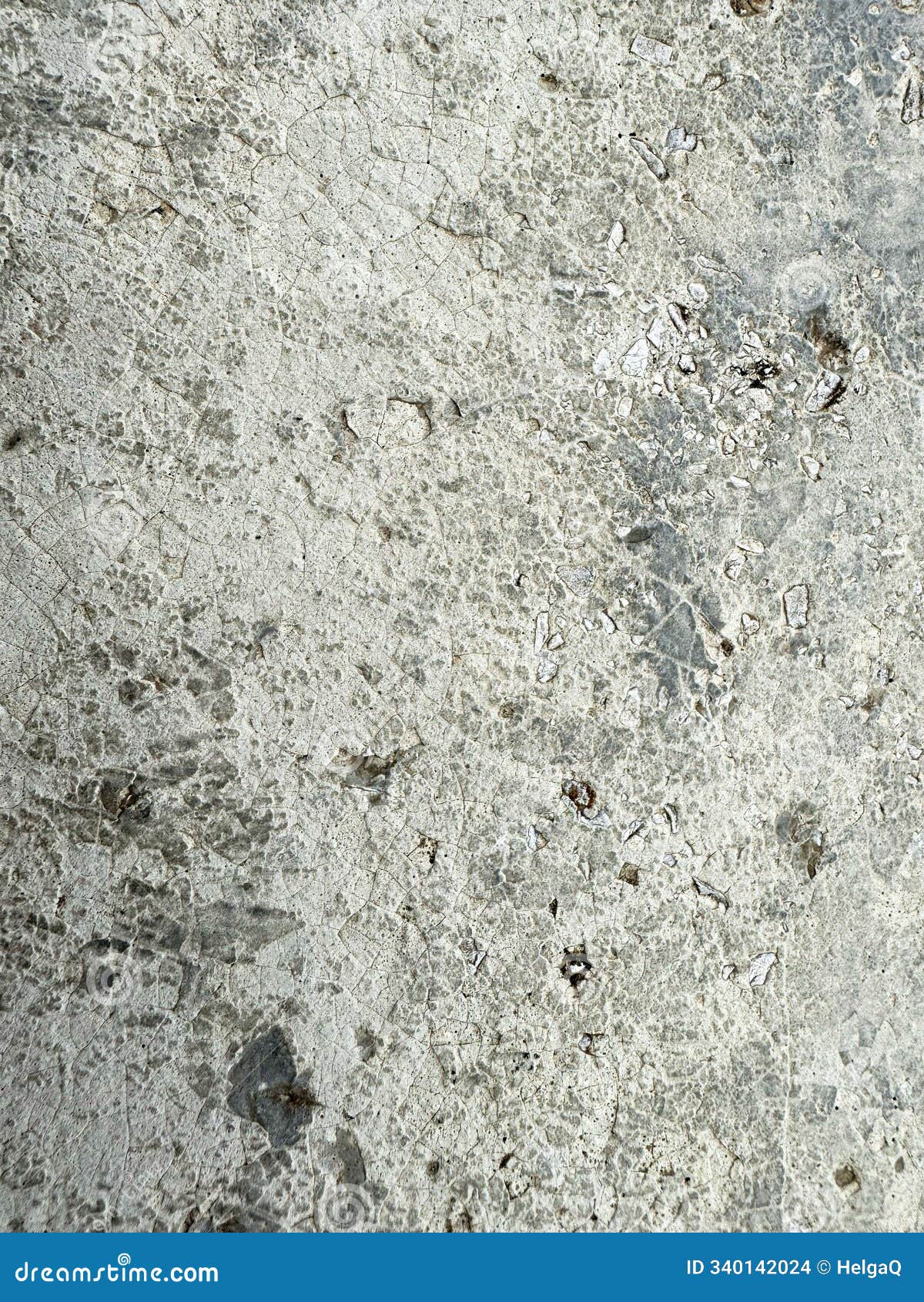 Cracked Concrete Texture: High-resolution Surface Pattern for ...