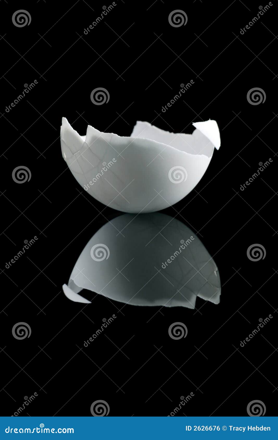 Cracked and contrary stock photo. Image of food, reflect - 2626676