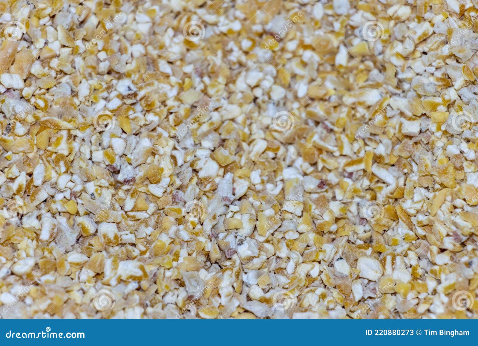 Cracked corn close up stock image. Image of yellow, maize - 220880273