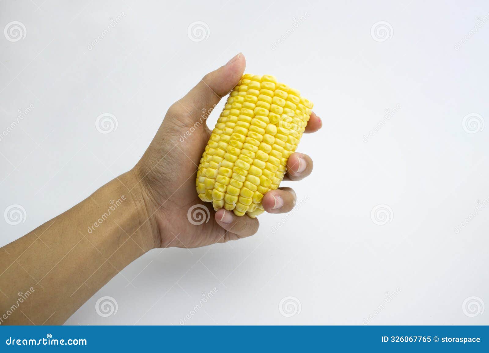 Cracked Corn in Human Hand. on White Background Stock Image - Image of ...