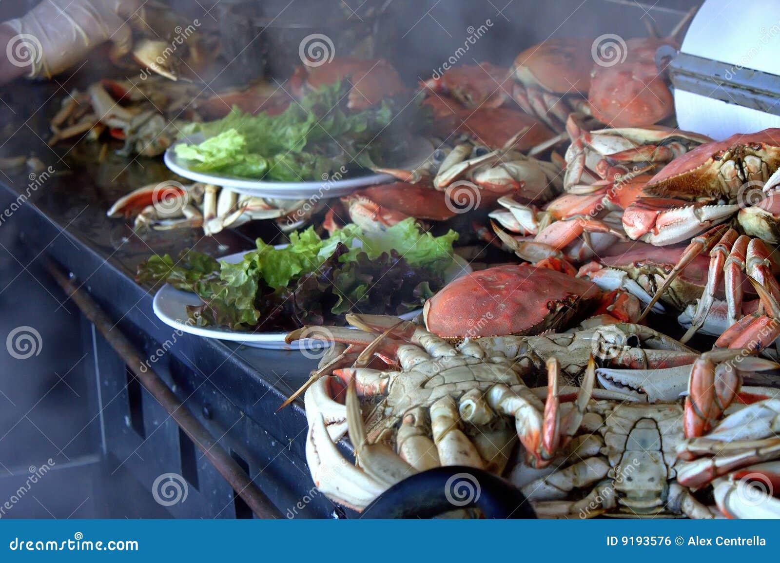 Cracked crab stock photo. Image of meat, ocean, fish, food - 9193576