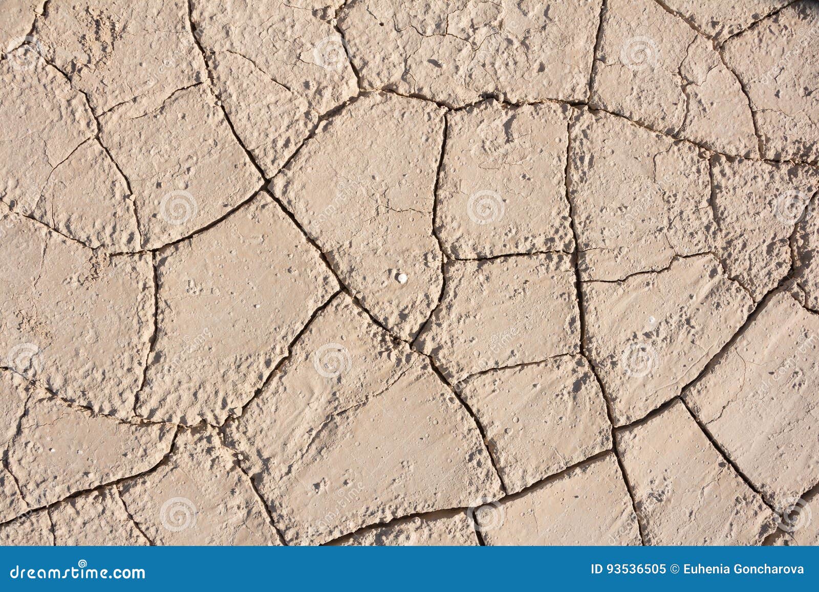 Cracked Dead Sea bottom stock image. Image of brown, desert - 93536505