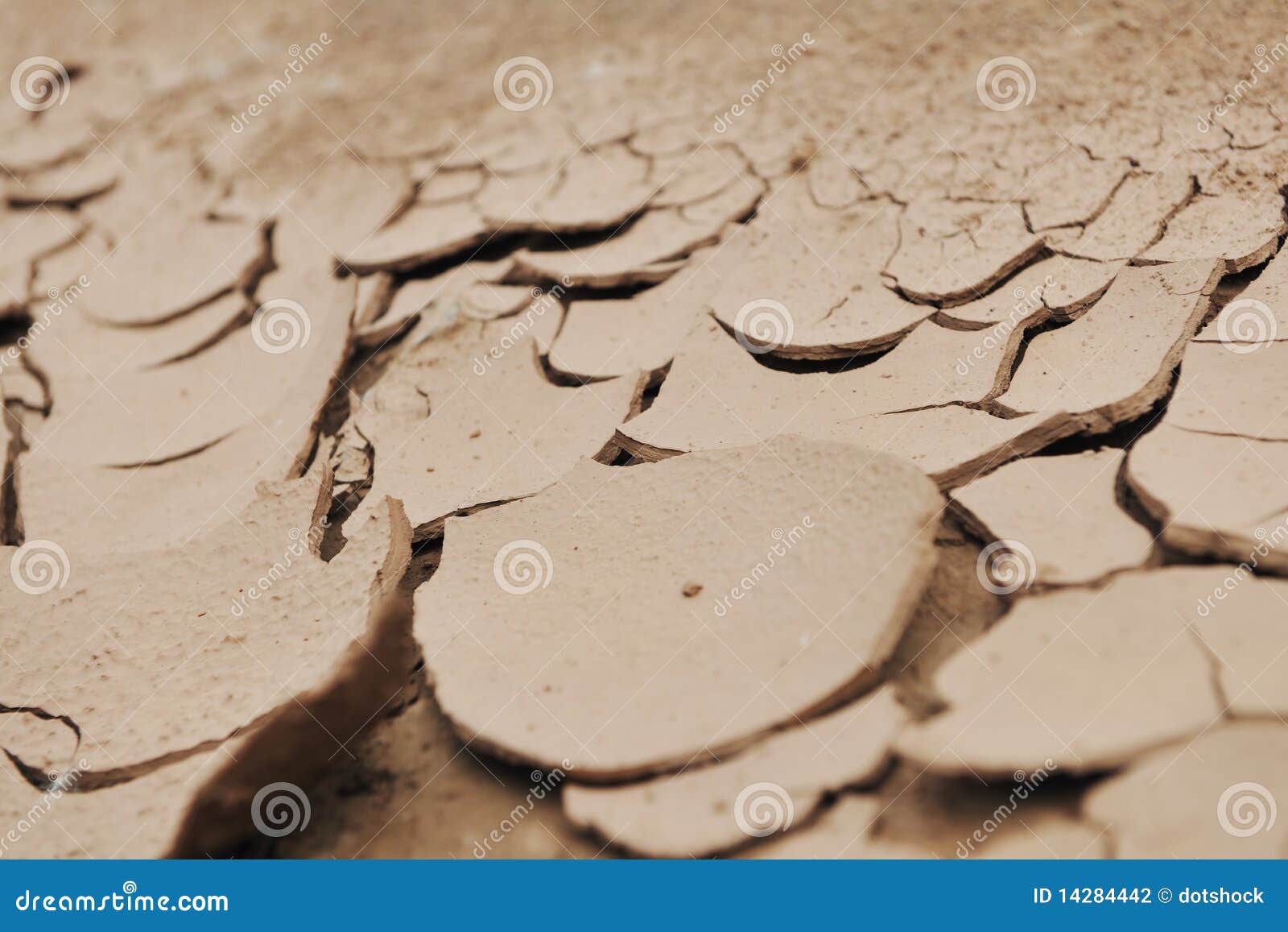 Cracked Desert Background Texture Stock Photo - Image of desolate ...