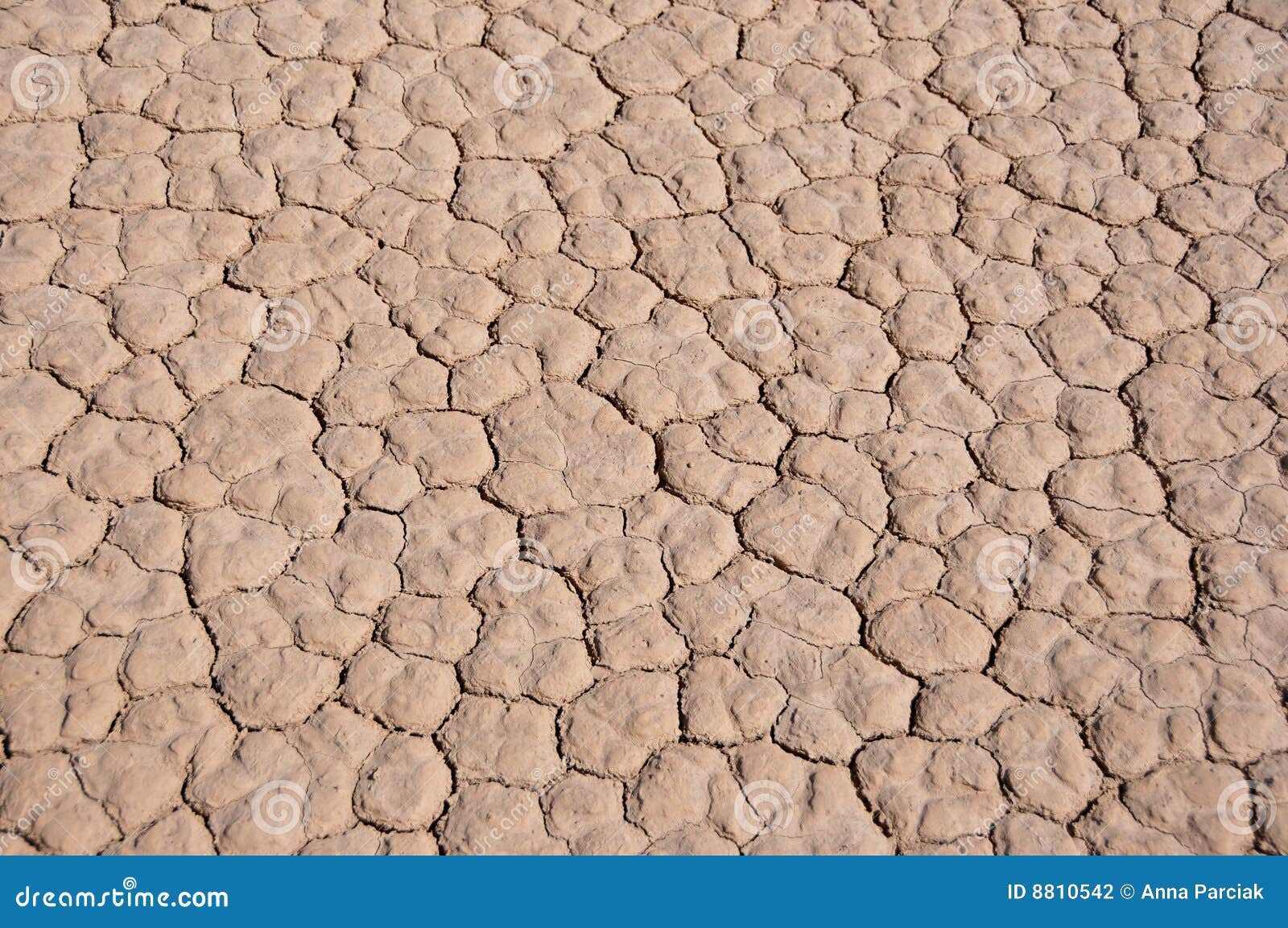 Cracked desert ground stock photo. Image of dust, close - 8810542