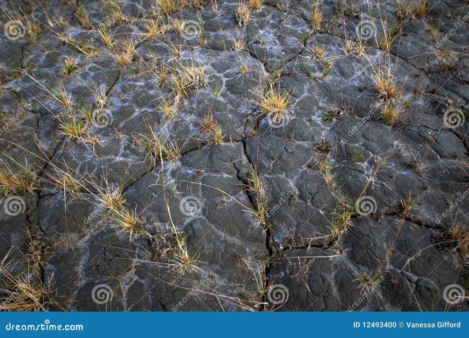 Dry Cracked Desert Soil During Drought - Top Down View Stock Photo ...