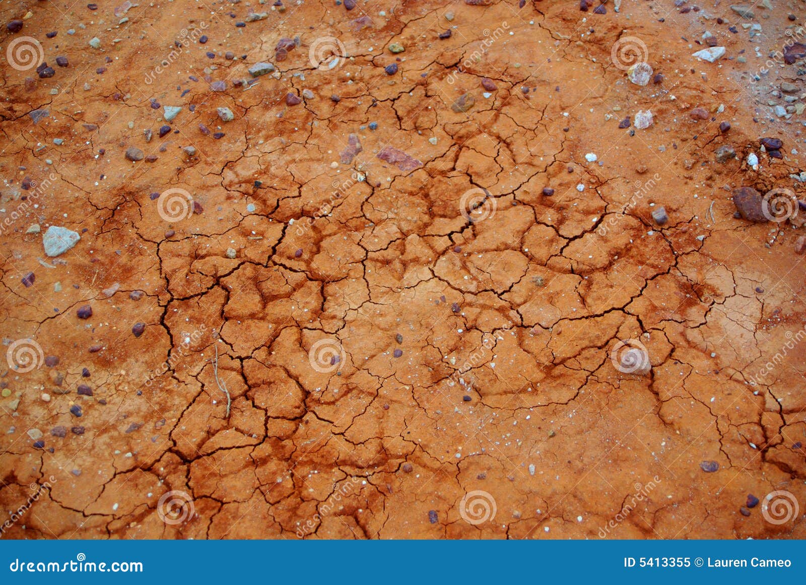 Cracked Desert Mud stock image. Image of cracking, outback - 5413355