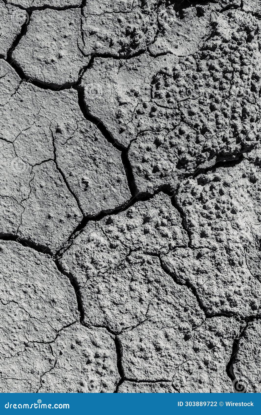 A Cracky Patch of Mud, on the Ground in the Desert Stock Photo - Image ...