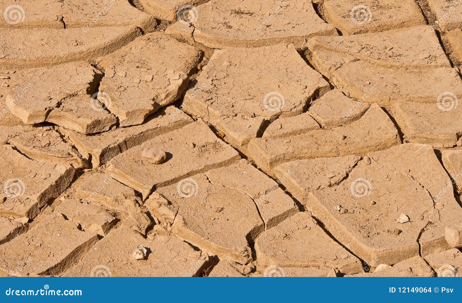 Cracked desert soil stock photo. Image of silence, dirt - 12149064