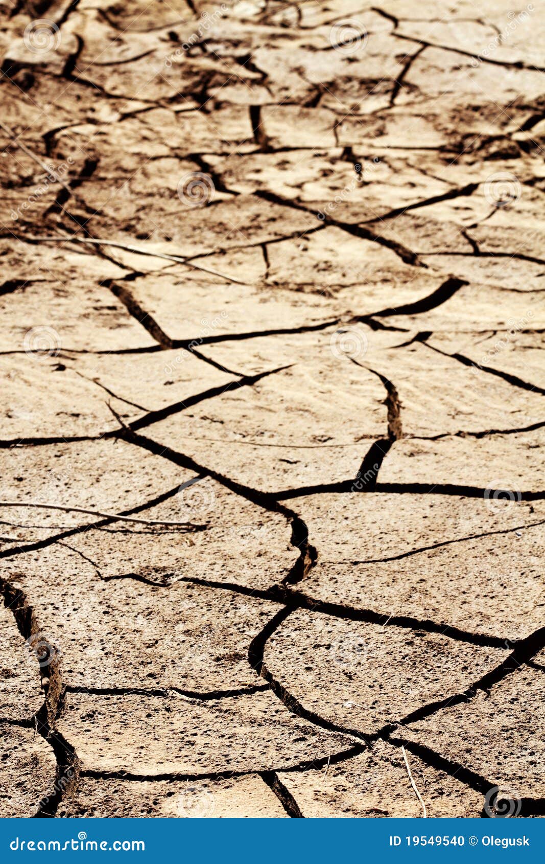 Cracked desert soil stock photo. Image of clay, abstraction - 19549540