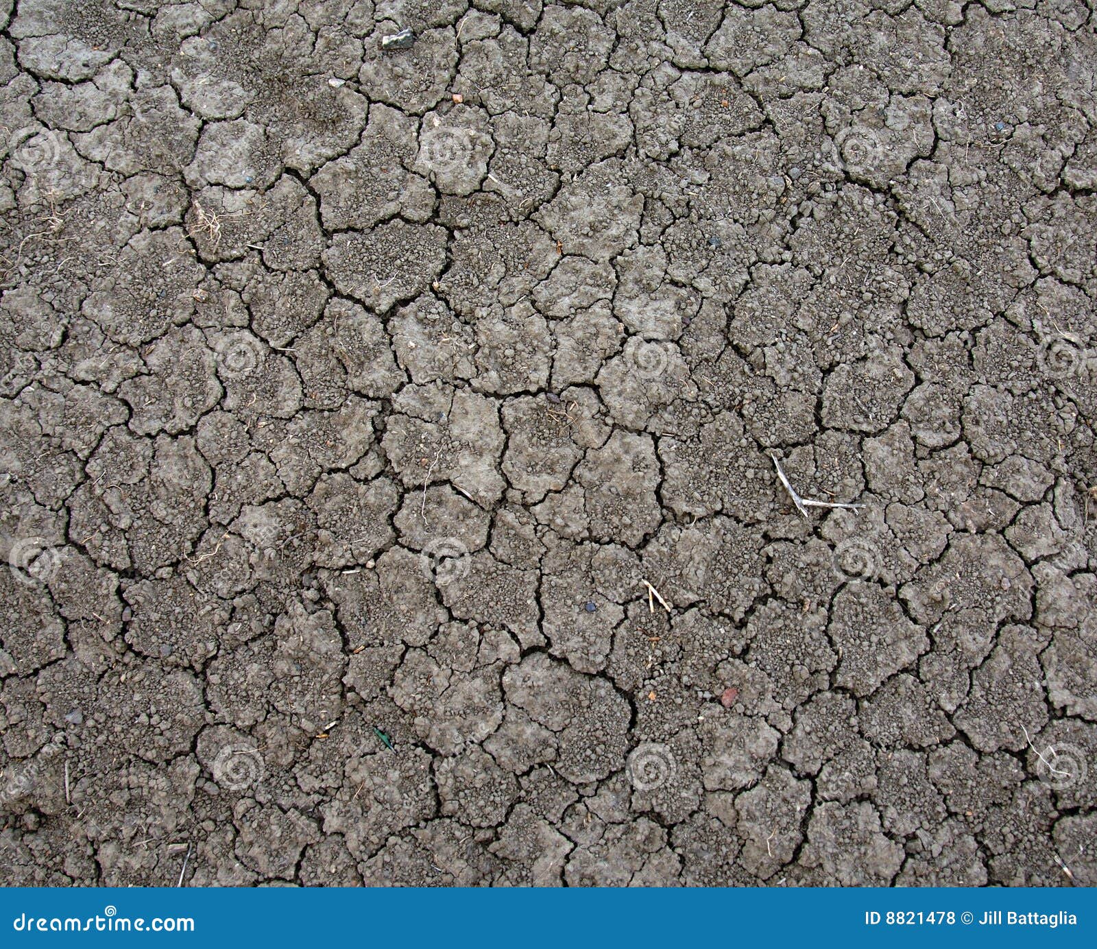 Cracked Dirt stock photo. Image of quench, dirt, drought - 8821478