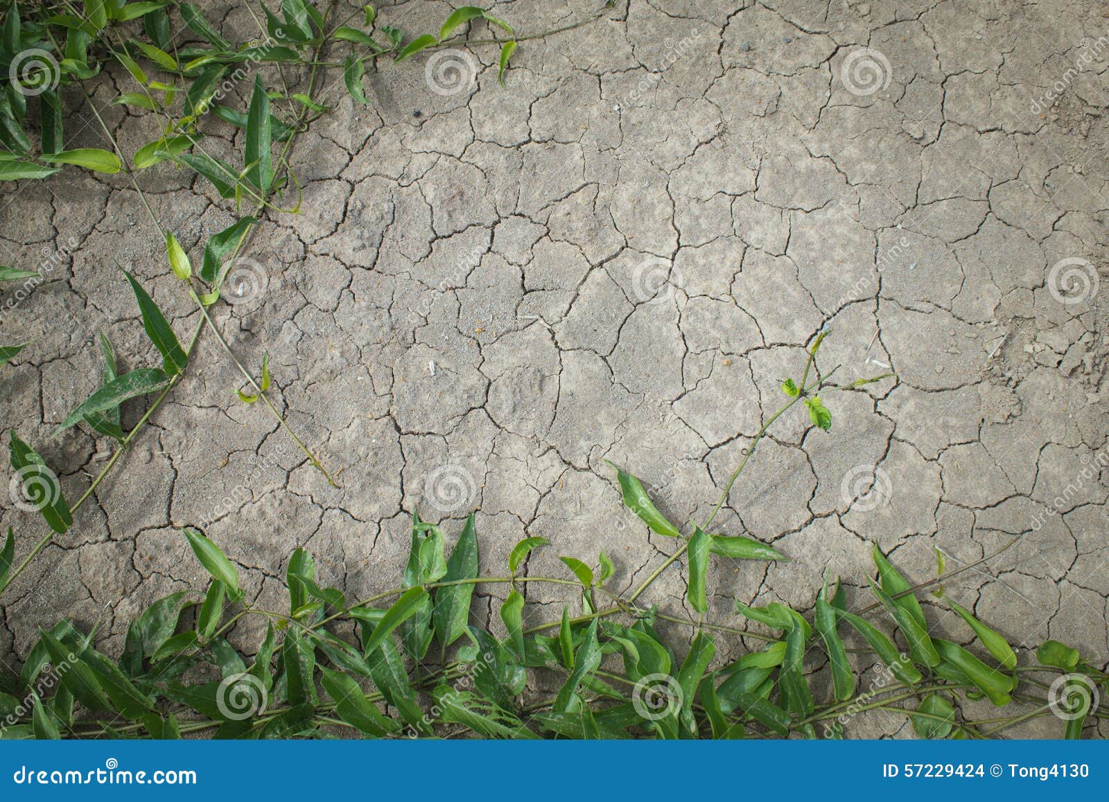 Cracked Dirty Ground Texture Stock Photo - Image of earth, split: 57229424