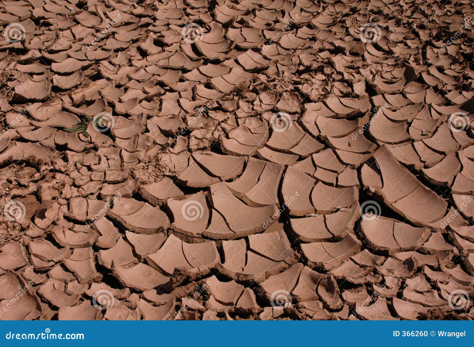 Cracked Dried Mud stock photo. Image of clay, ground, morocco - 366260