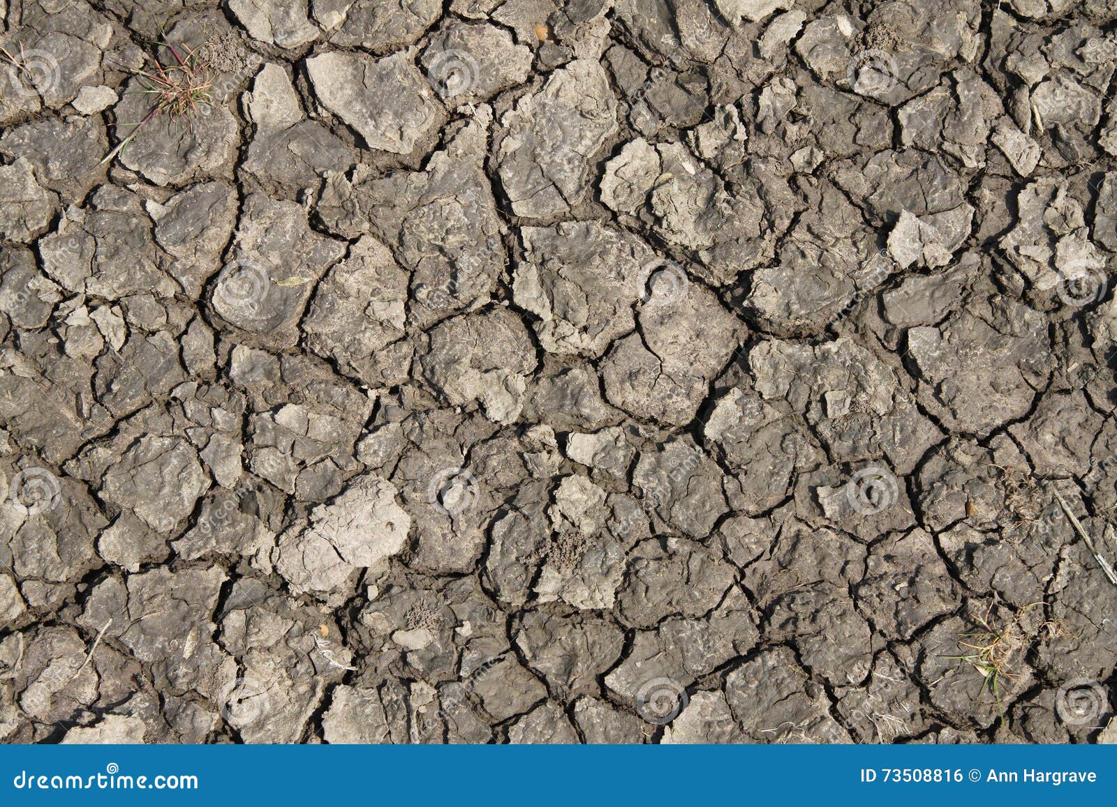 Cracked and Dried Mud Pattern Stock Photo - Image of dirt, ground: 73508816