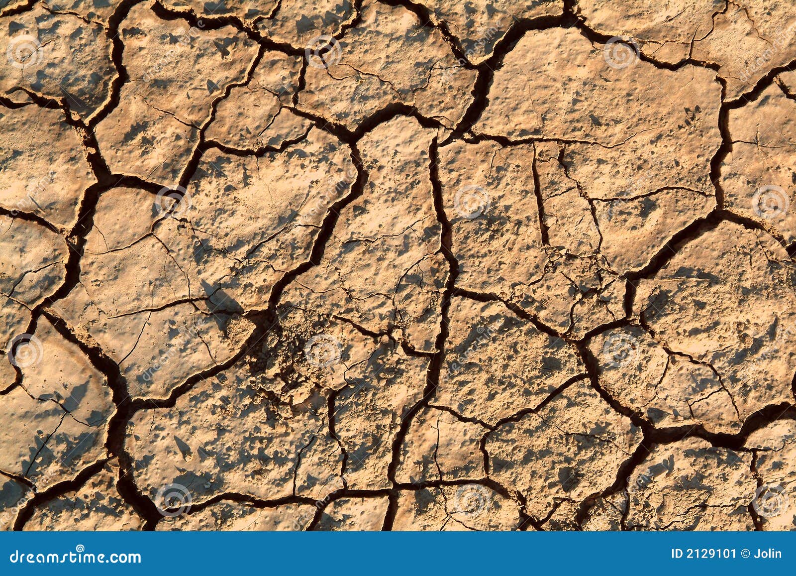 Cracked and Dried Mud Texture Stock Image - Image of barren, desert ...