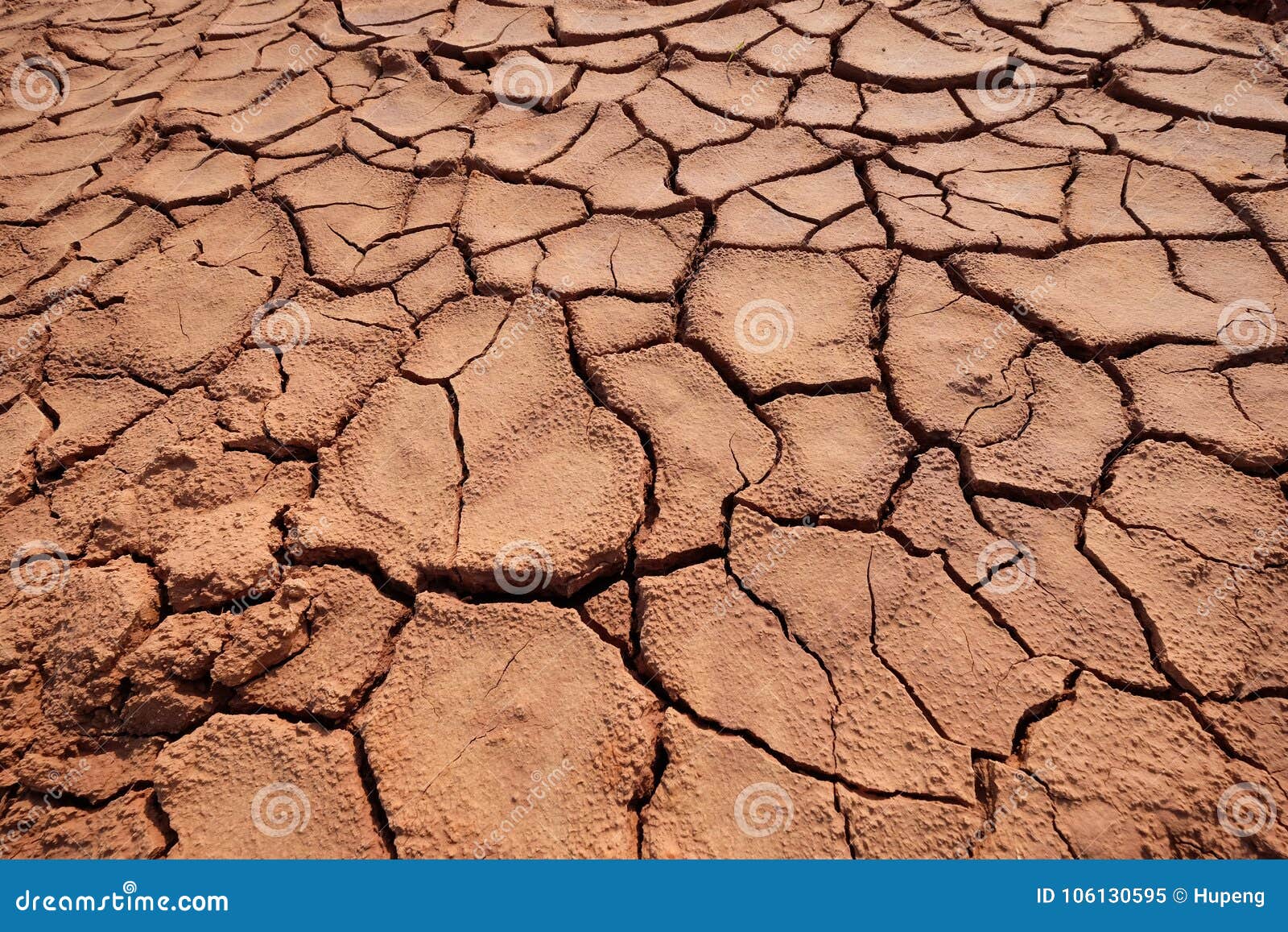 Dried mud texture stock image. Image of drought, hard - 106130595