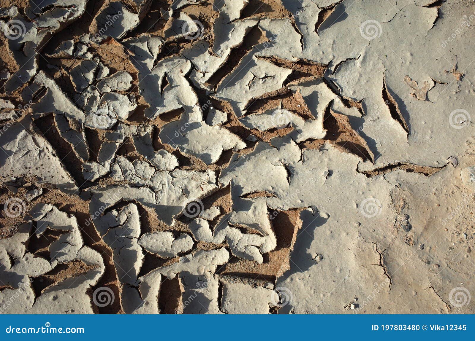 Cracked Dried Mud Texture Royalty-Free Stock Image | CartoonDealer.com ...