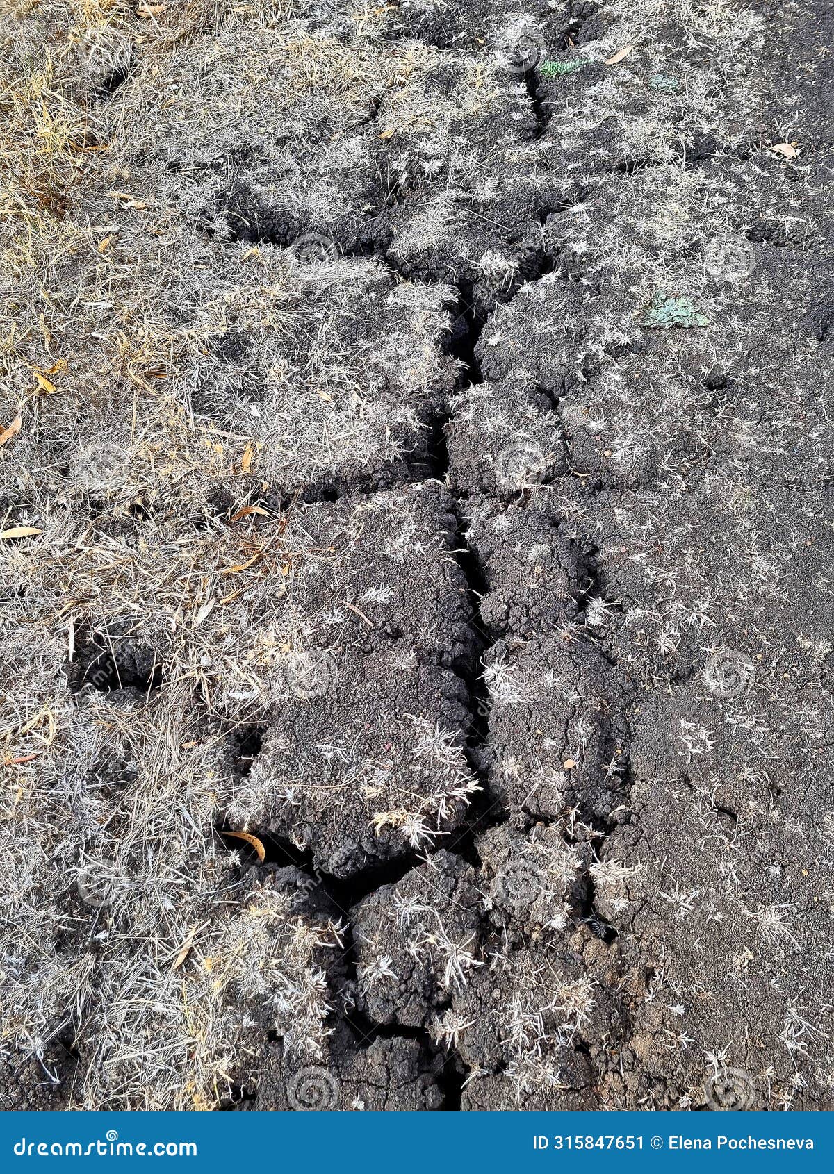 Cracked Dried Soil, Drought and Desert, Environmental Problems, Global ...