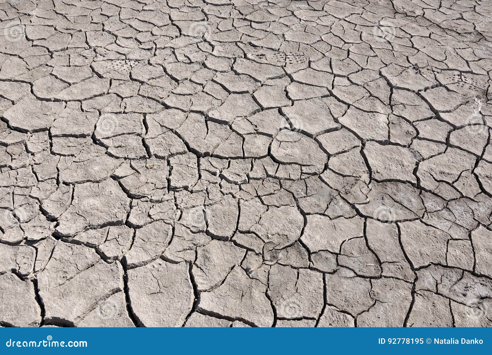 Cracked by Drought the Ground Stock Image - Image of nature ...