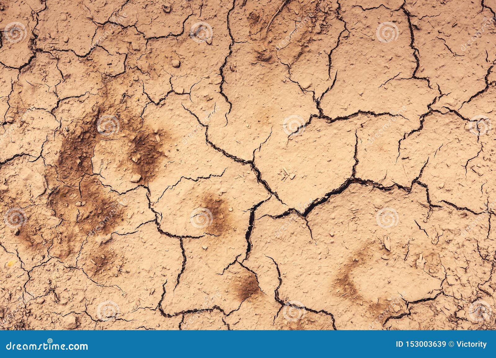 Cracked Dry Clay Ground Background and Texture Stock Image - Image of ...
