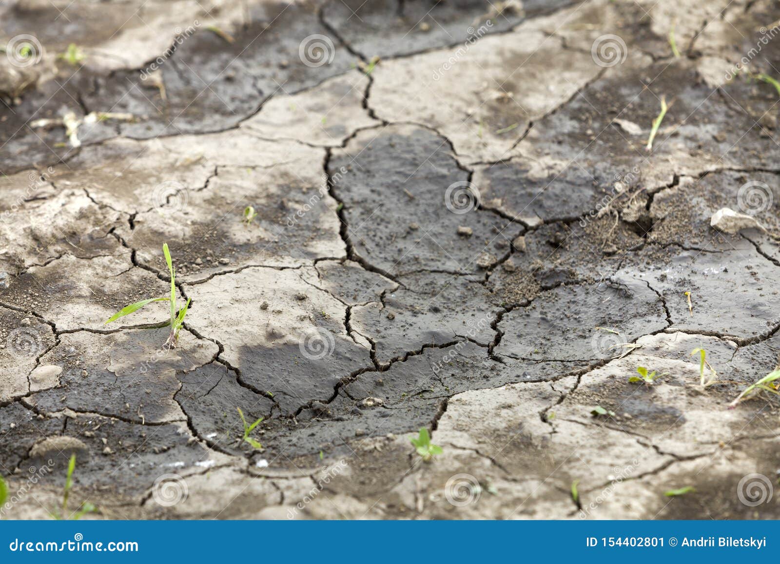 Cracked Dry Dirt Flat Surface, Abstract Texture, Copy Space Background ...