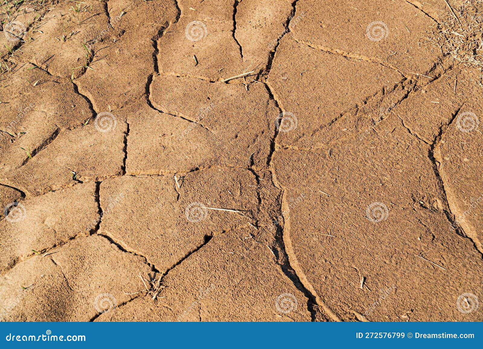 Cracked Dry Earth. Dry Field and Cracked Earth Stock Image - Image of ...