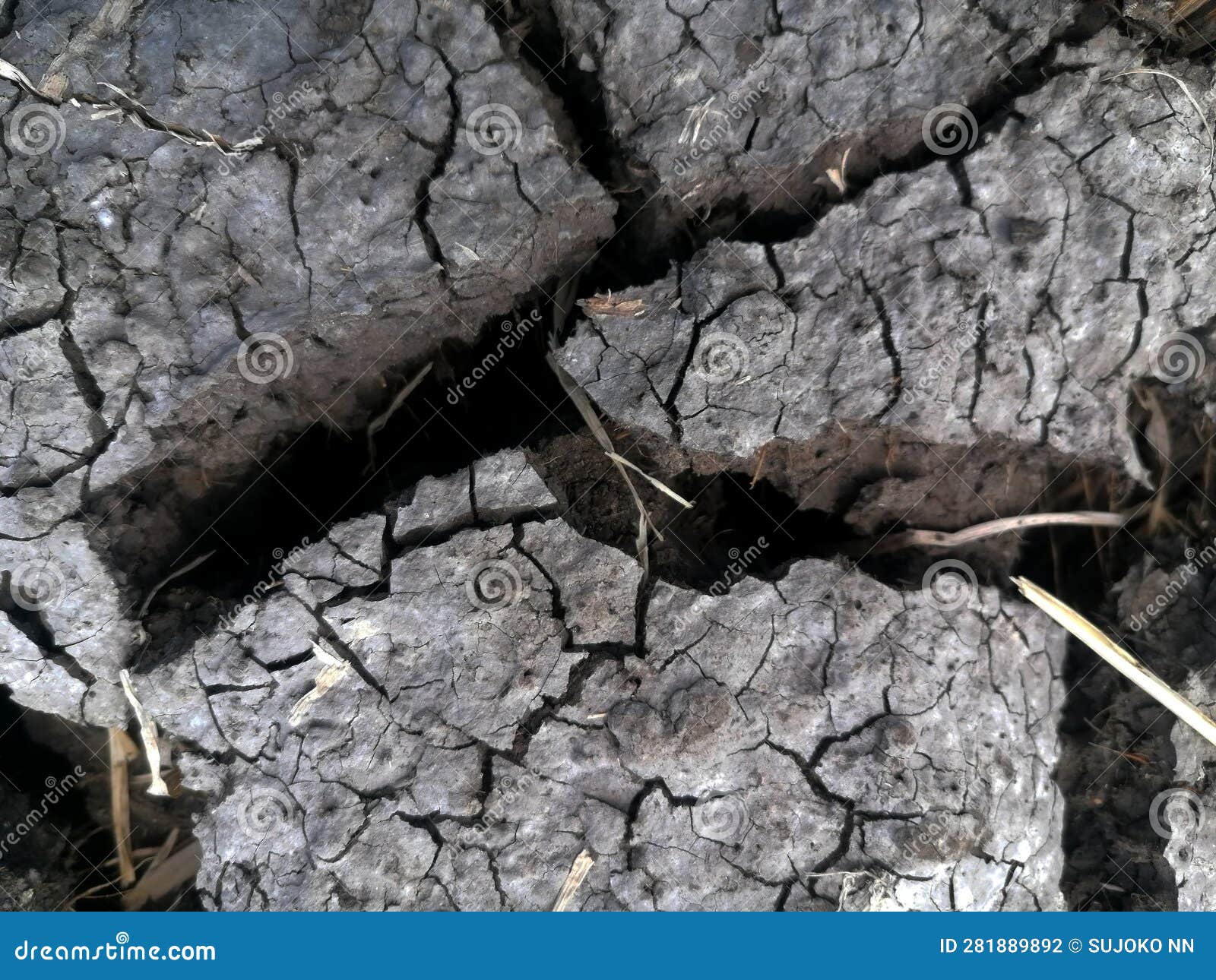 Cracked Dry Field Ground in the Dry Season Stock Photo - Image of ...