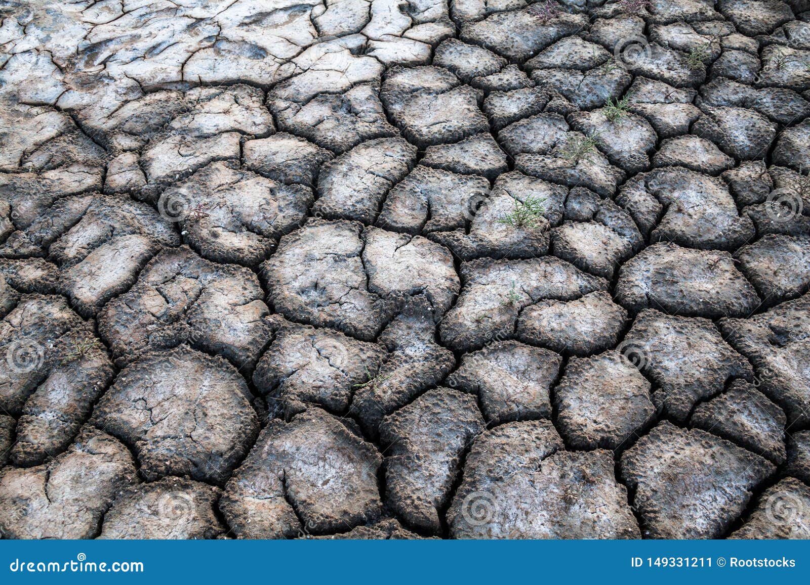 Cracked dry ground stock image. Image of clay, fissure - 149331211