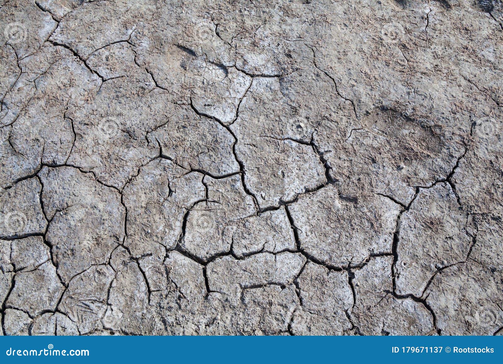 Cracked dry ground stock image. Image of gray, climate - 179671137