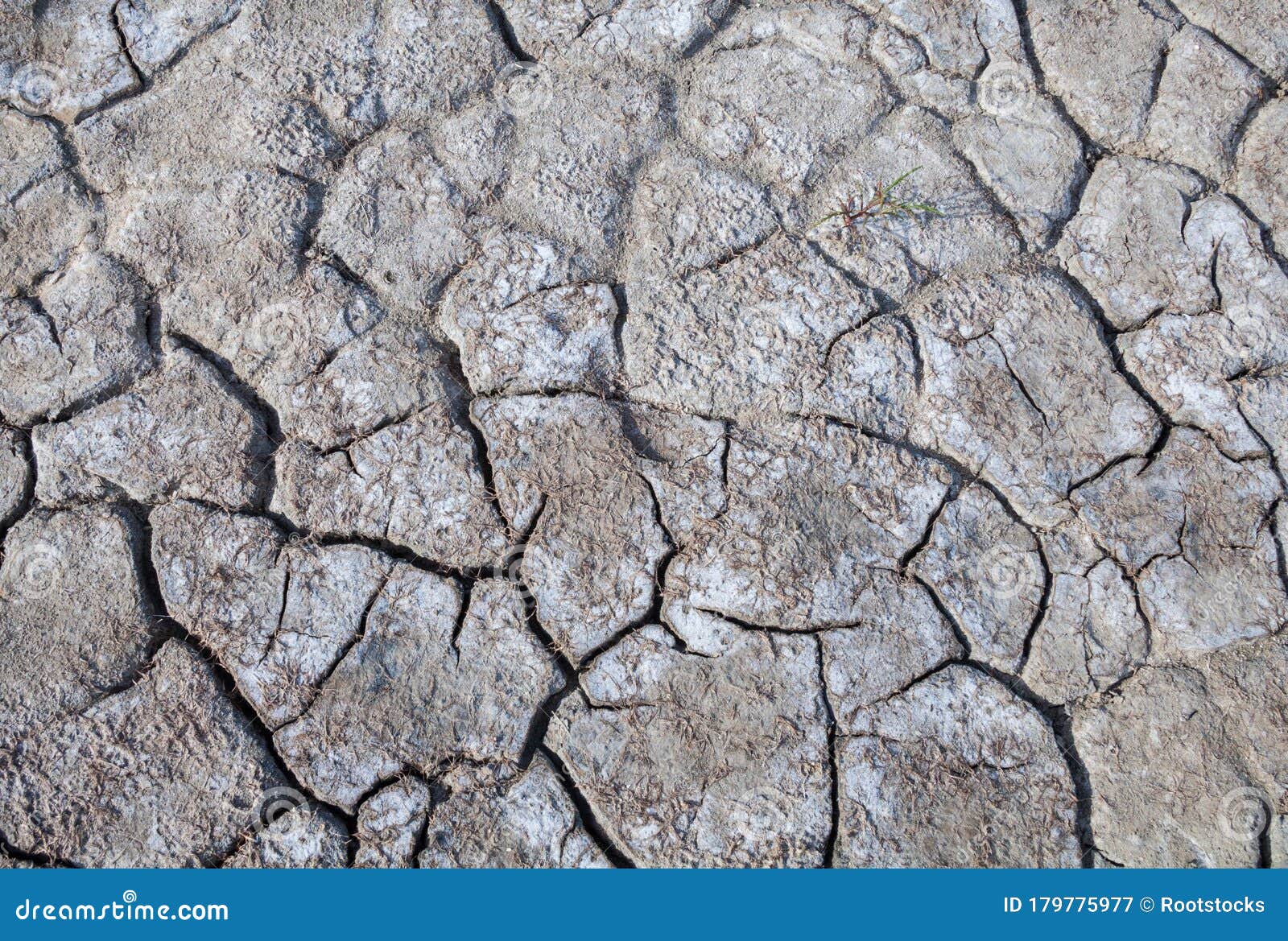 Cracked dry ground stock image. Image of natural, earth - 179775977