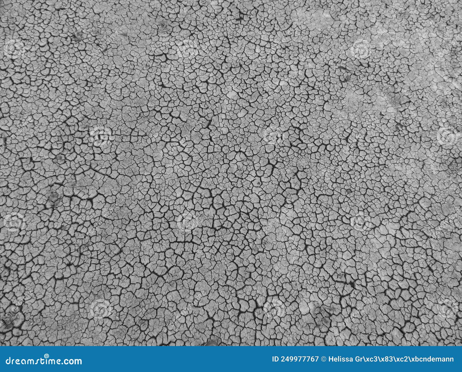 Cracked Dry Ground Pattern in Black and White Stock Image - Image of ...