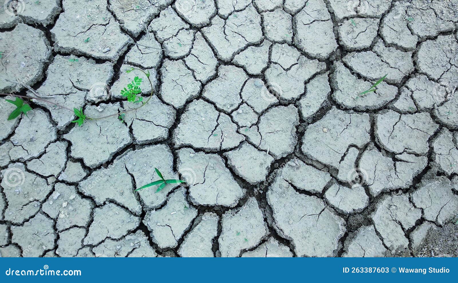 Cracked dry land stock image. Image of water, land, ground - 263387603