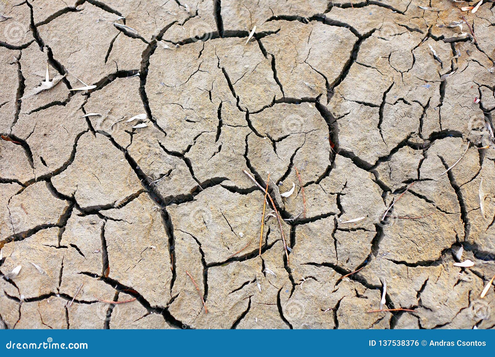 Cracked land background stock photo. Image of natural - 137538376