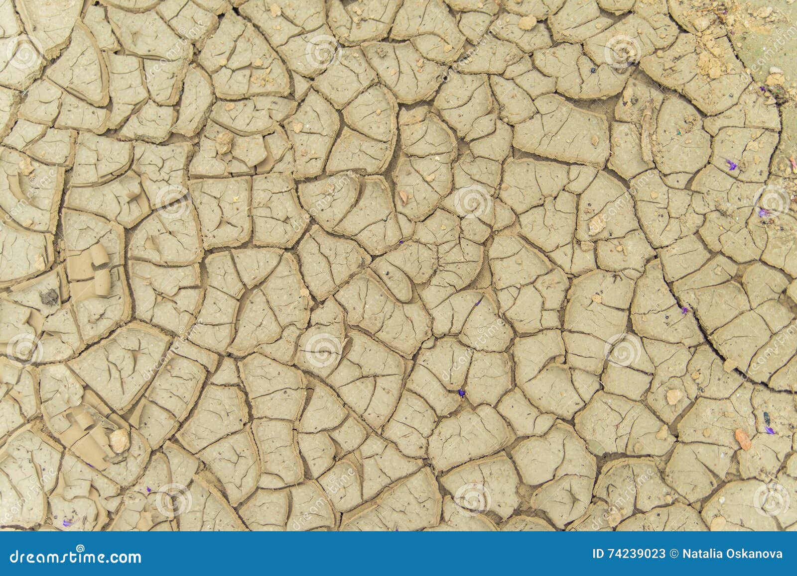 Cracked Dry Land in a Desert Stock Image - Image of africa, crack: 74239023
