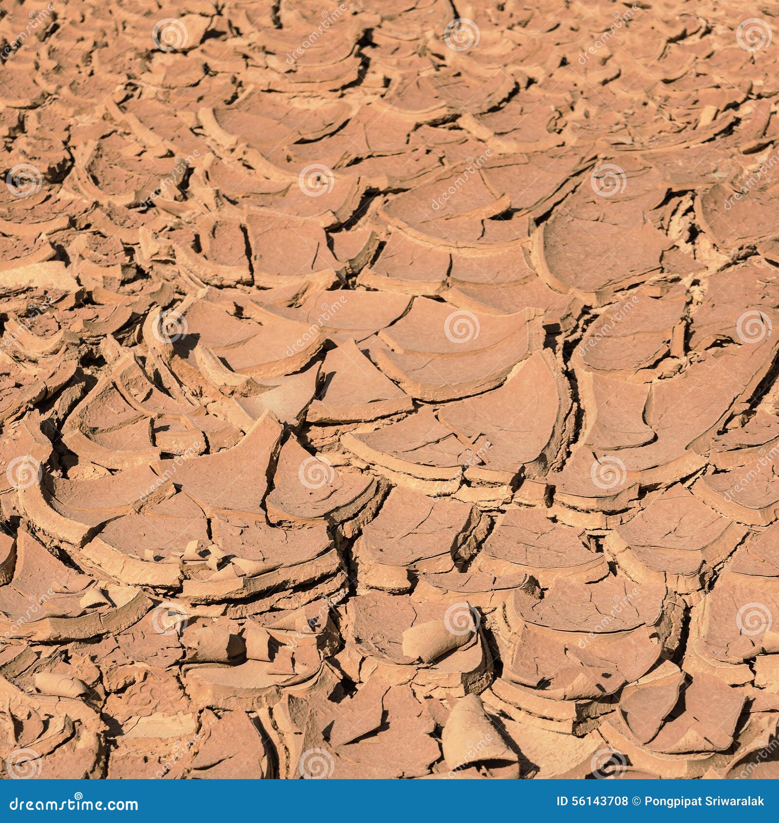 Cracked dry land stock photo. Image of extreme, global - 56143708