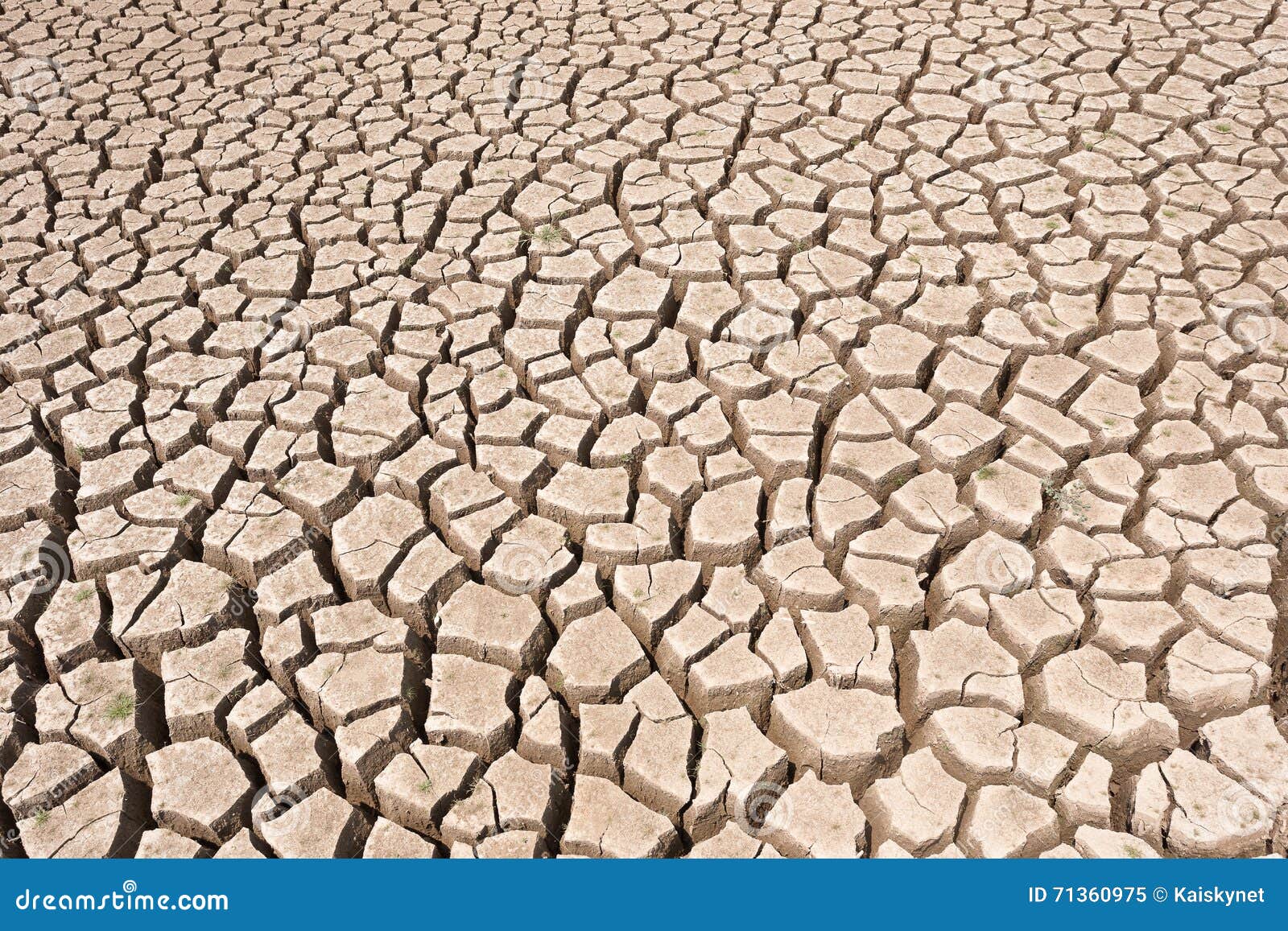 Cracked Dry Land without Water Stock Image - Image of geology ...
