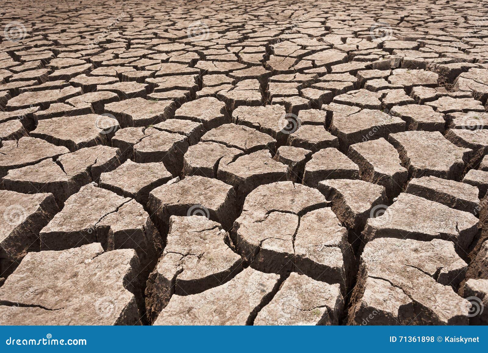 Cracked Dry Land without Water Stock Photo - Image of clay, climate ...