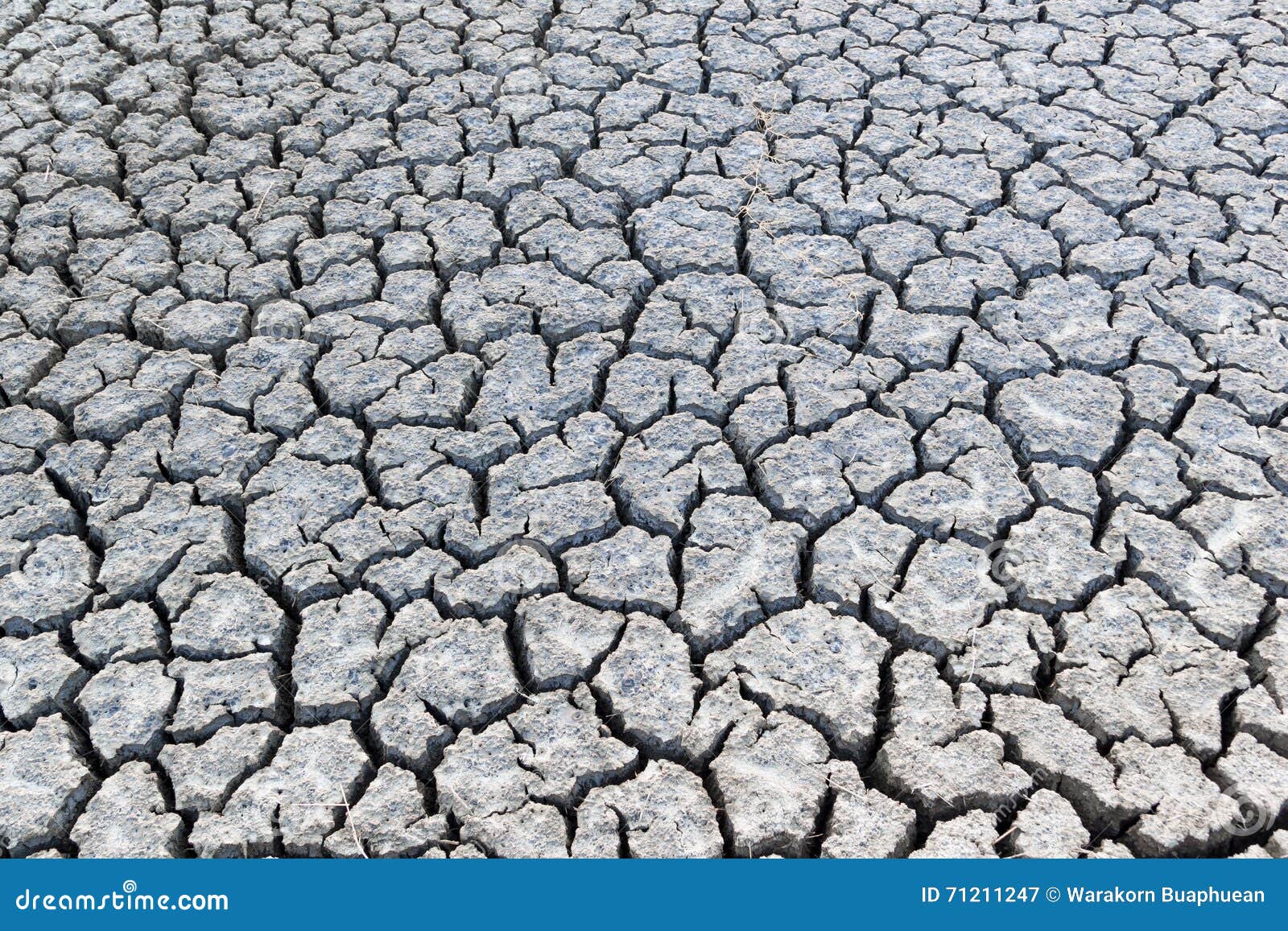 Cracked Dry Land without Water Stock Image - Image of ground ...