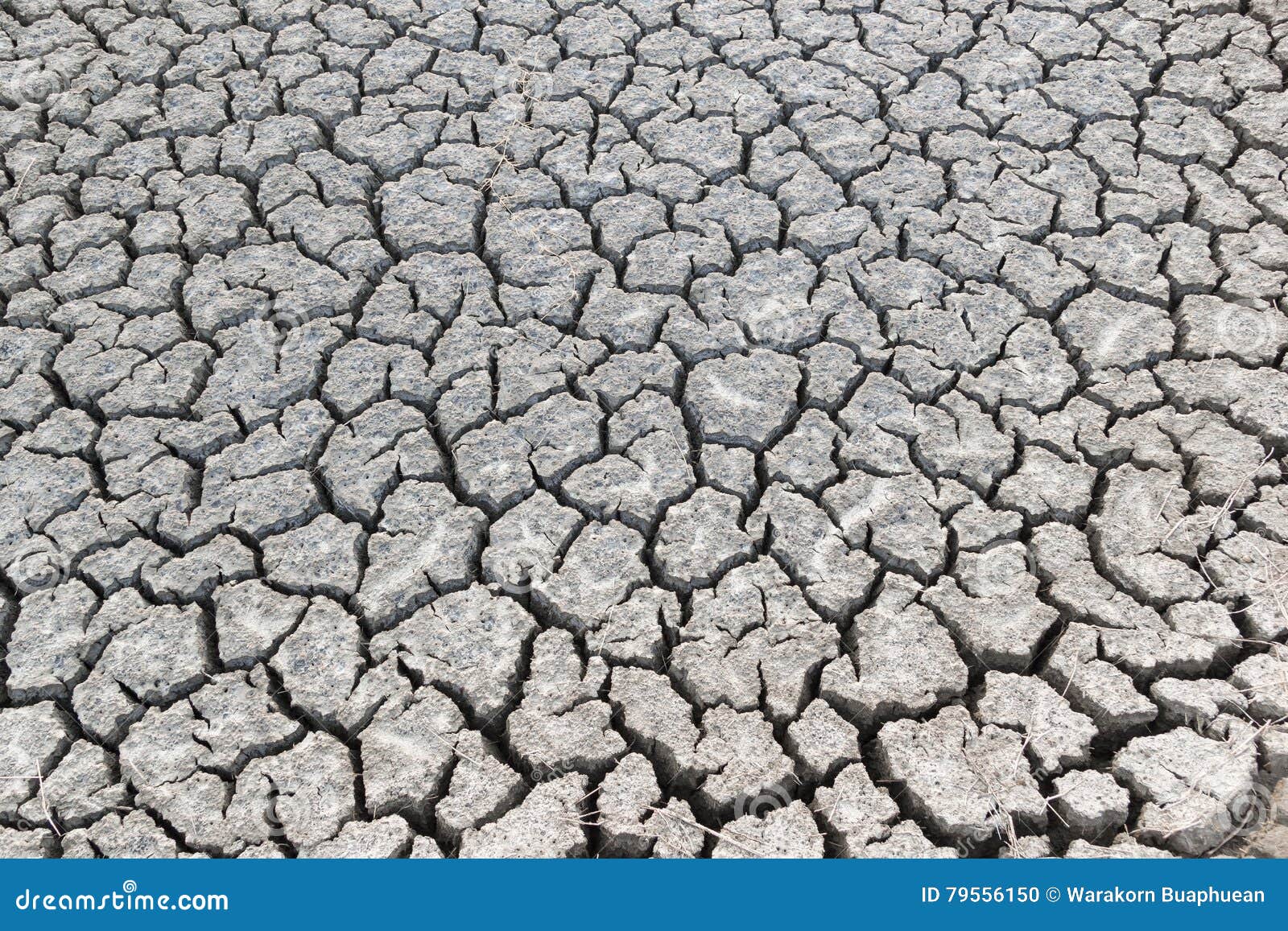 Cracked Dry Land without Water Stock Photo - Image of environment ...