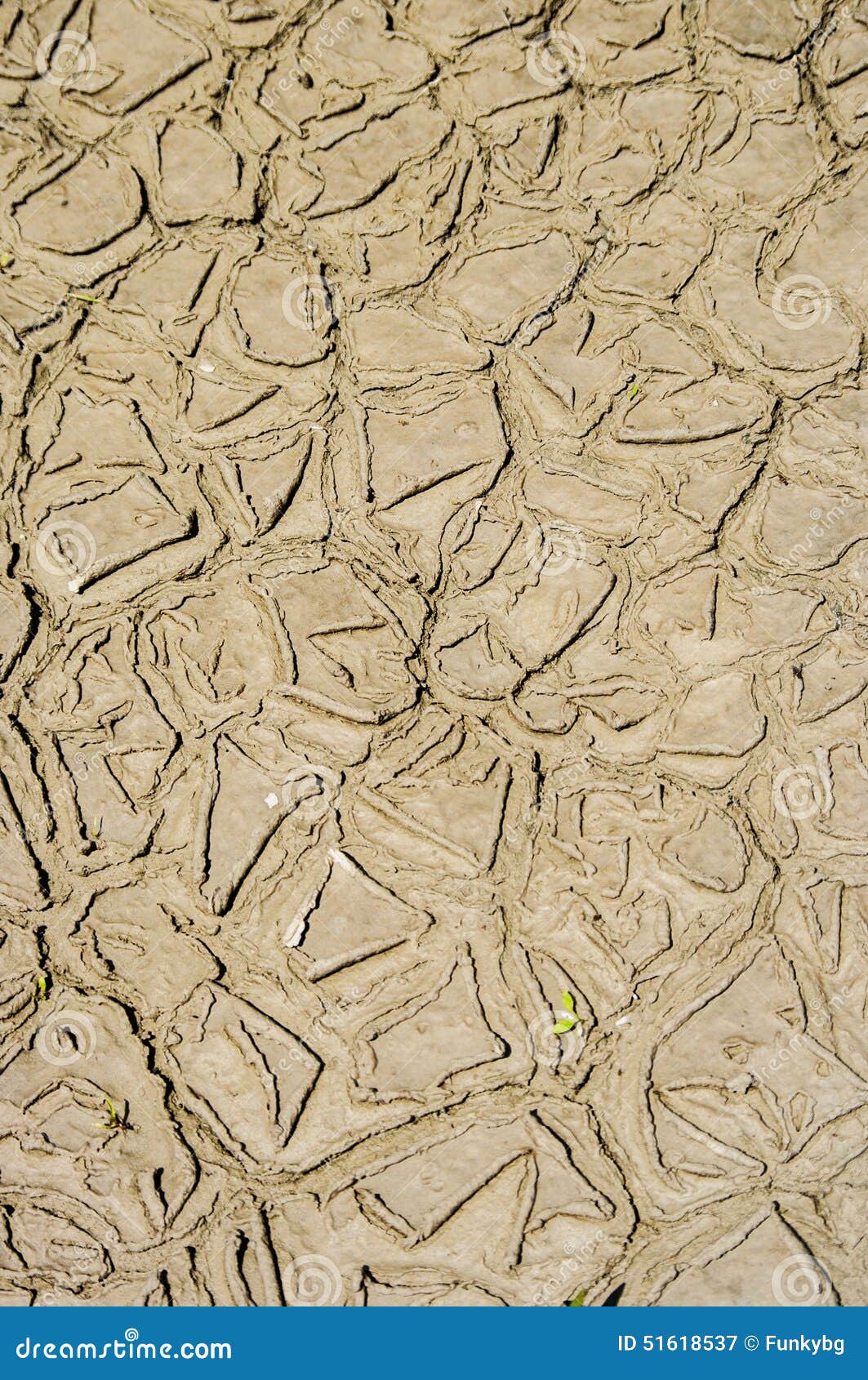 Cracked Dry Land without Water Stock Image - Image of abstract ...