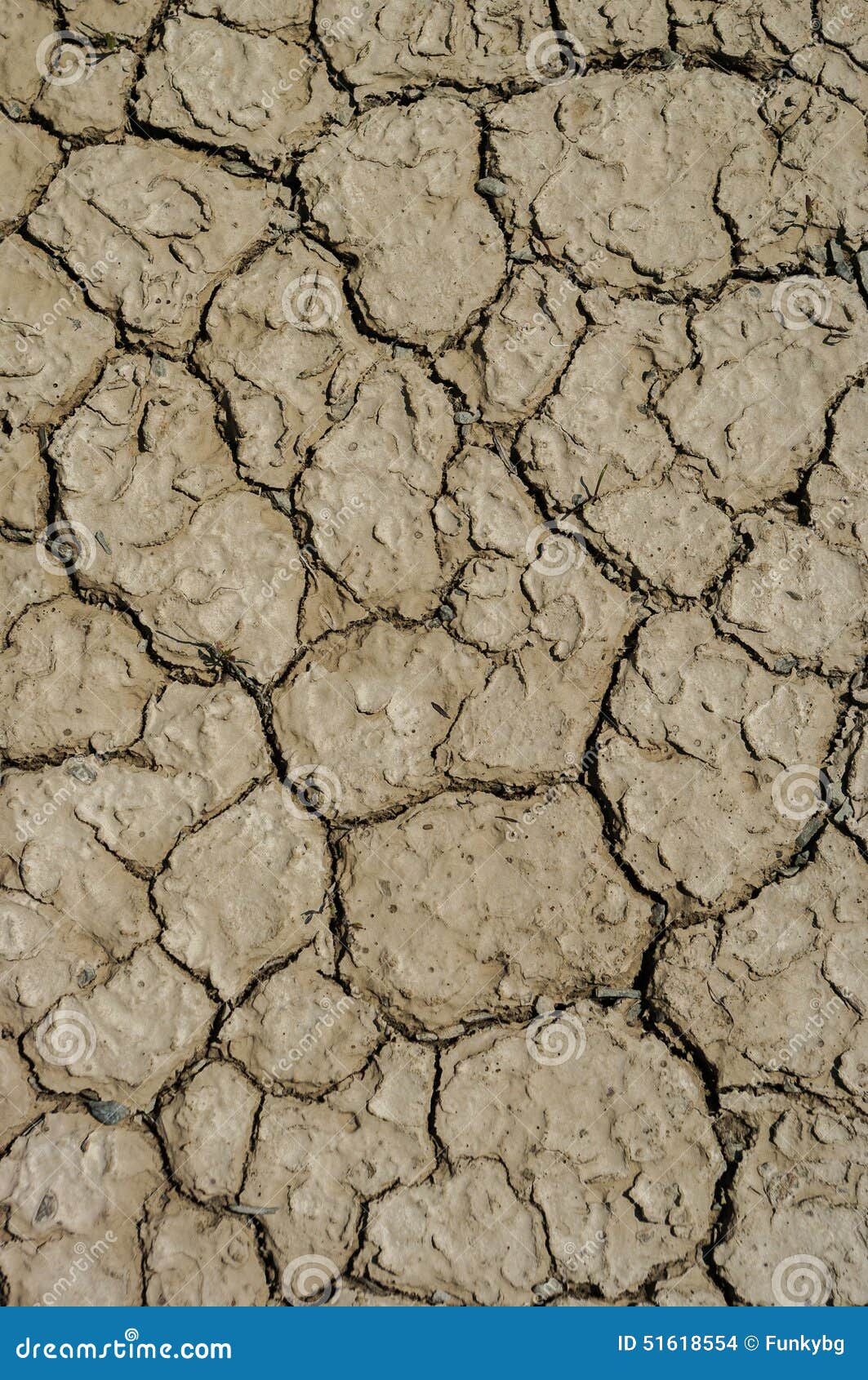 Cracked Dry Land without Water Stock Photo - Image of closeup ...