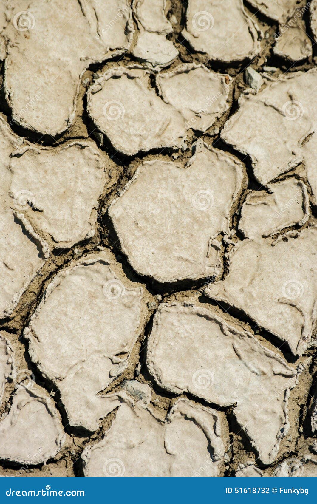 Cracked Dry Land without Water Stock Photo - Image of growth ...