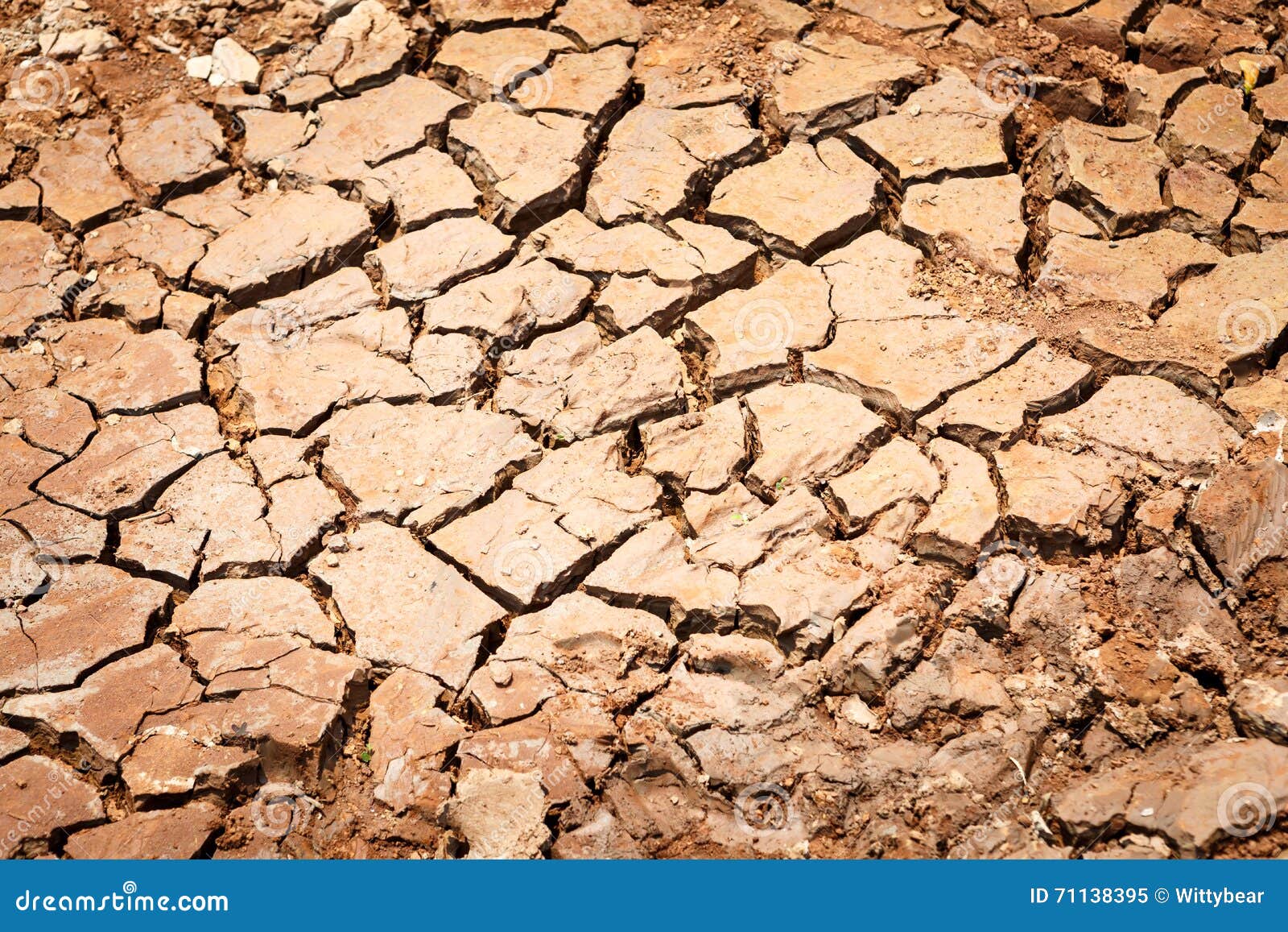 Cracked Dry Land without Water Stock Image - Image of broken, barren ...