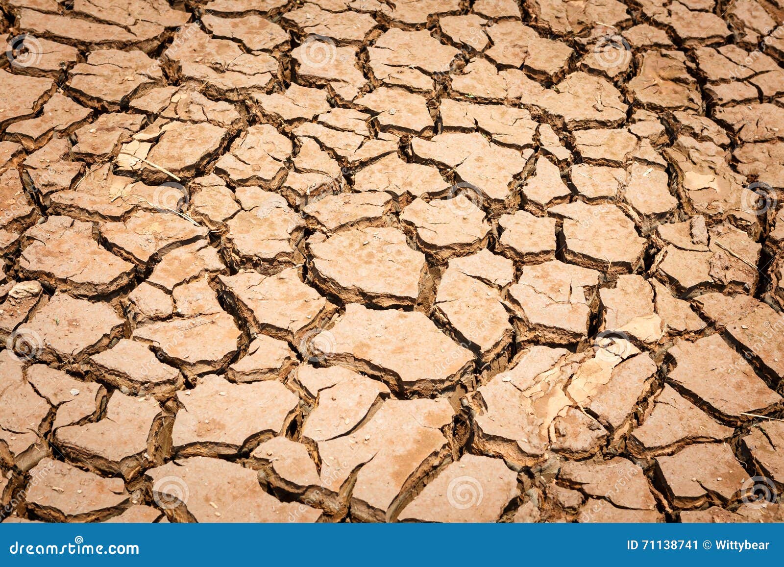 Cracked Dry Land without Water Stock Image - Image of texture ...