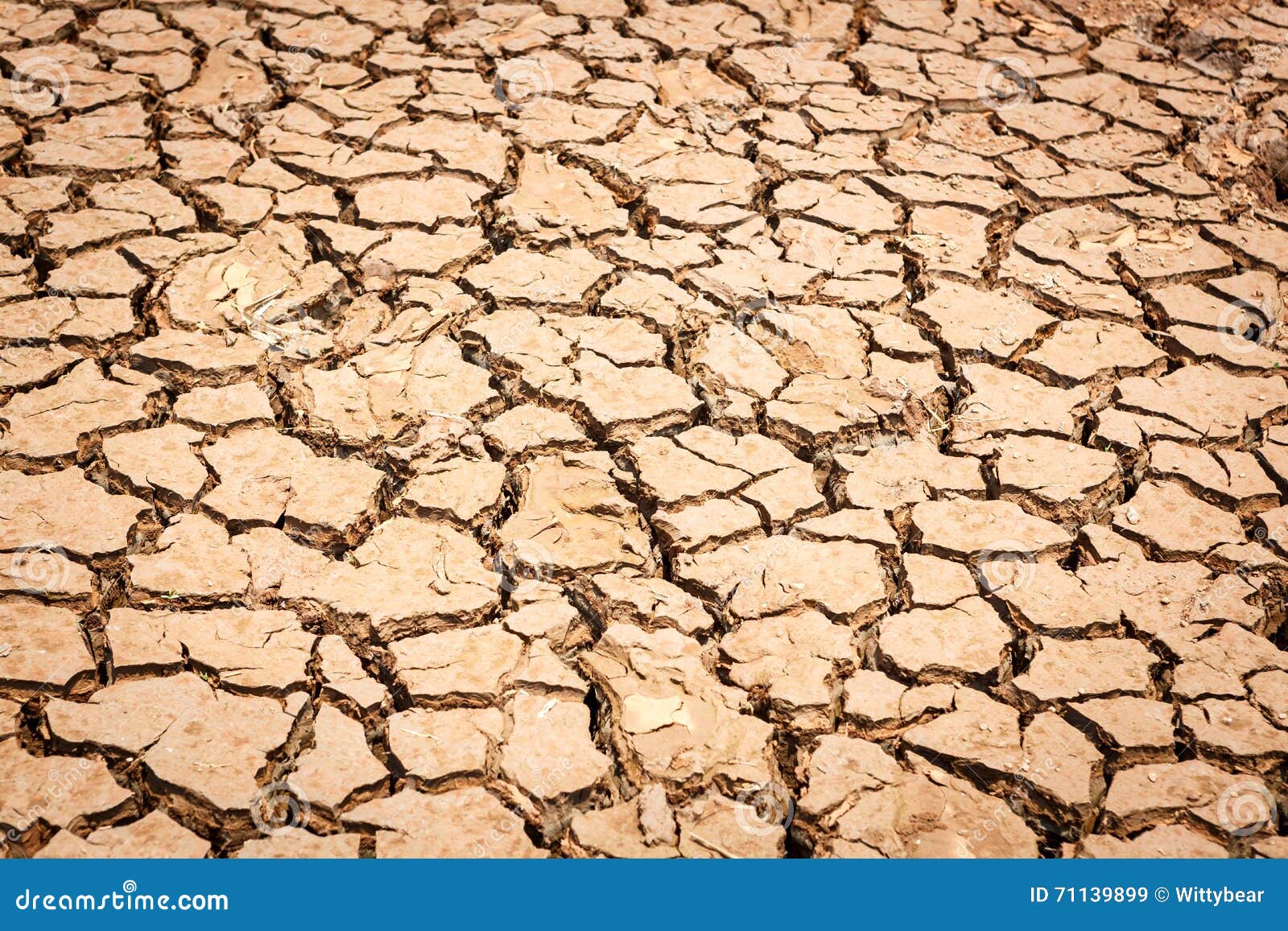 Cracked Dry Land without Water Stock Image - Image of global ...