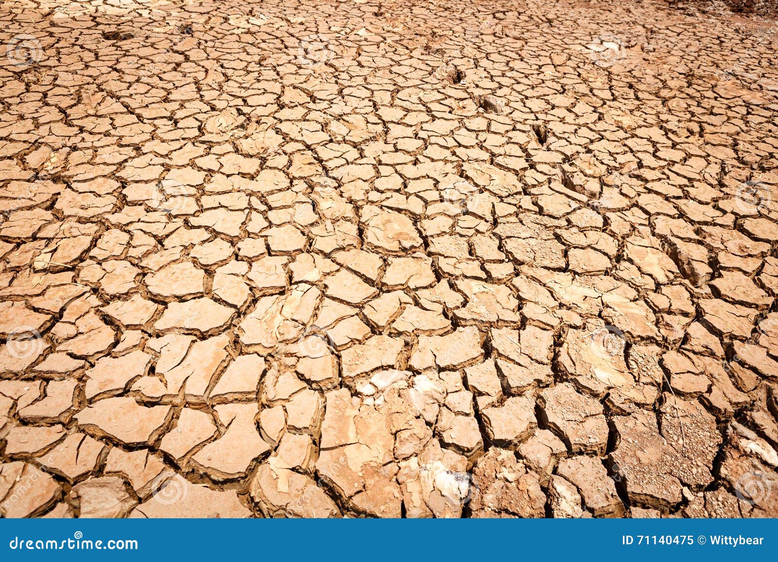 Cracked Dry Land without Water Stock Image - Image of clay, landscape ...