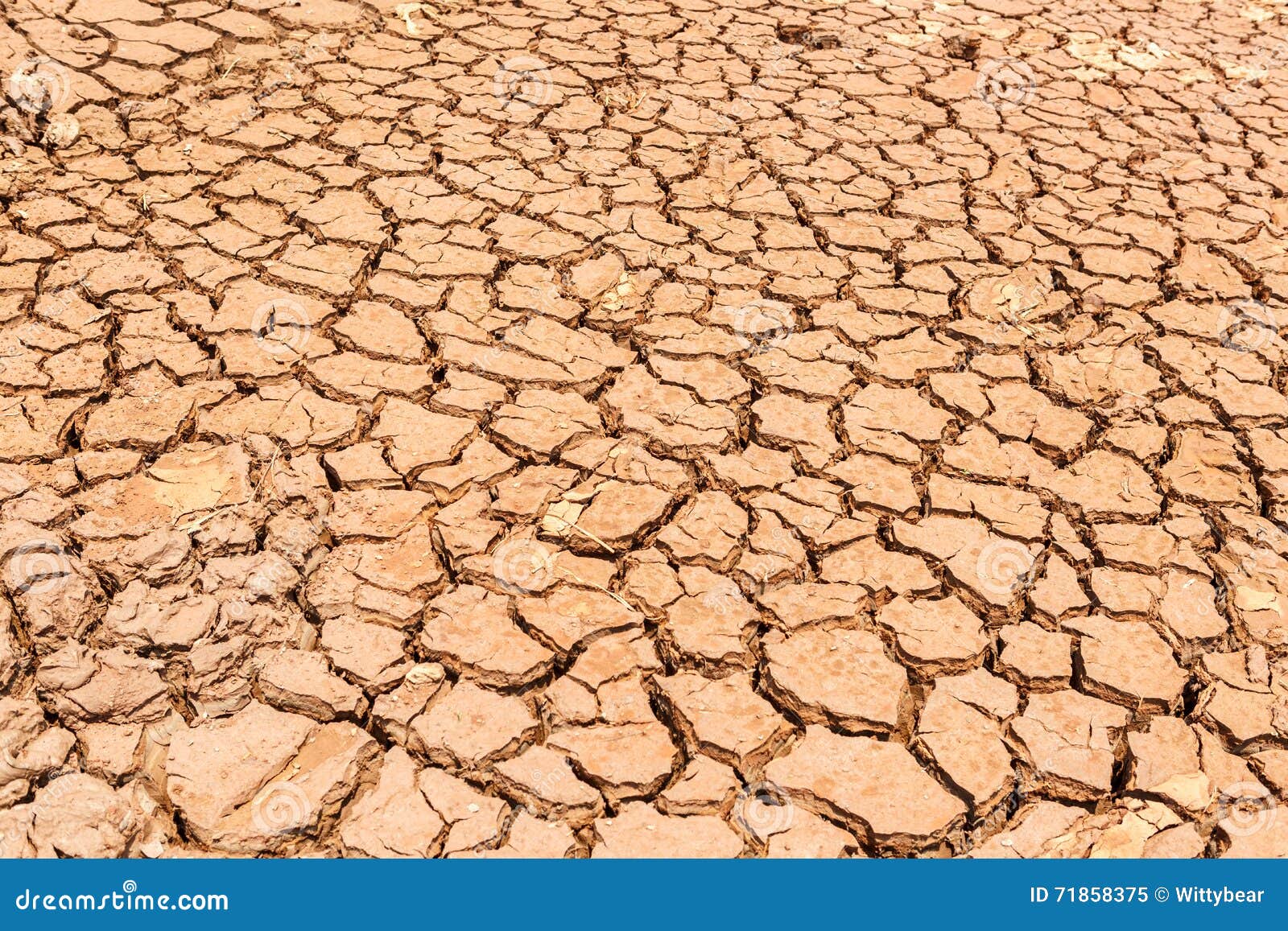 Cracked Dry Land without Water Stock Image - Image of environmental ...