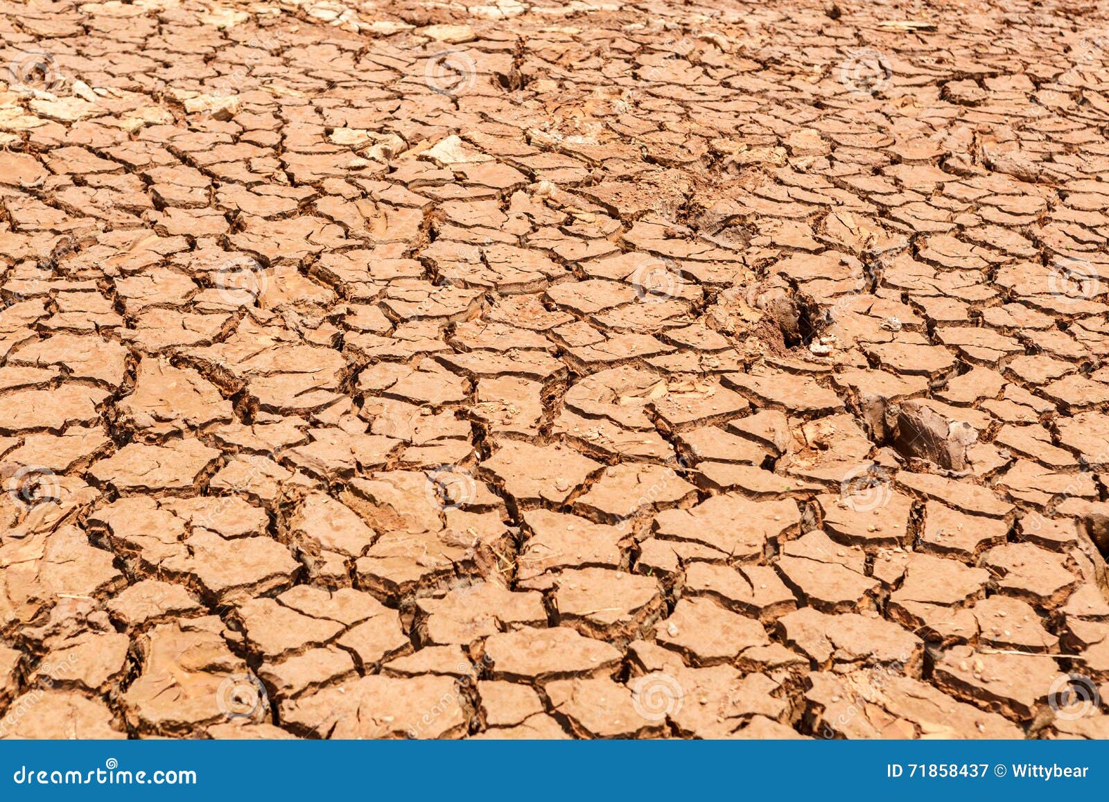 Cracked Dry Land without Water Stock Image - Image of drought, damage ...
