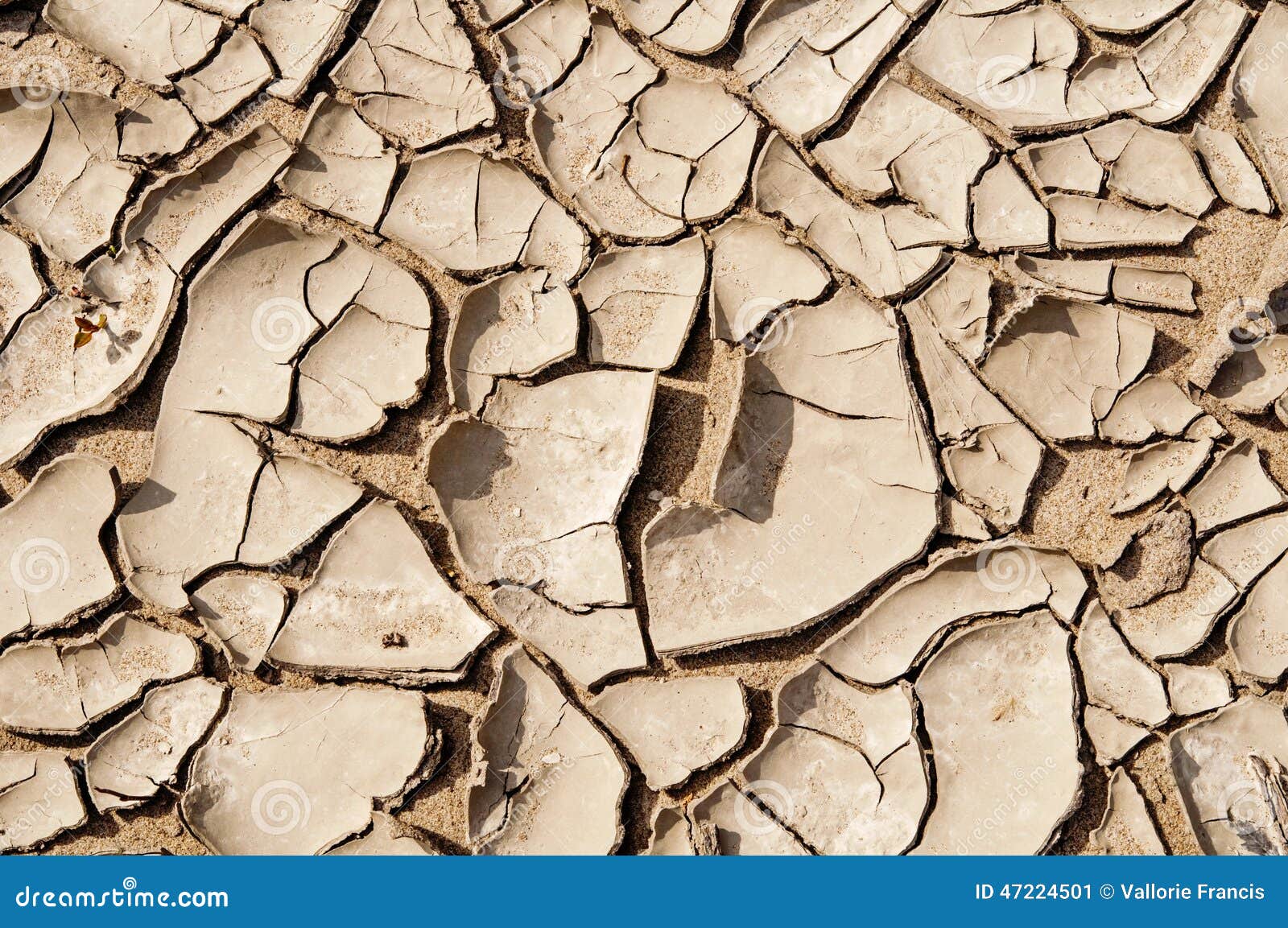 Cracked dry mud over sand stock image. Image of scorched - 47224501