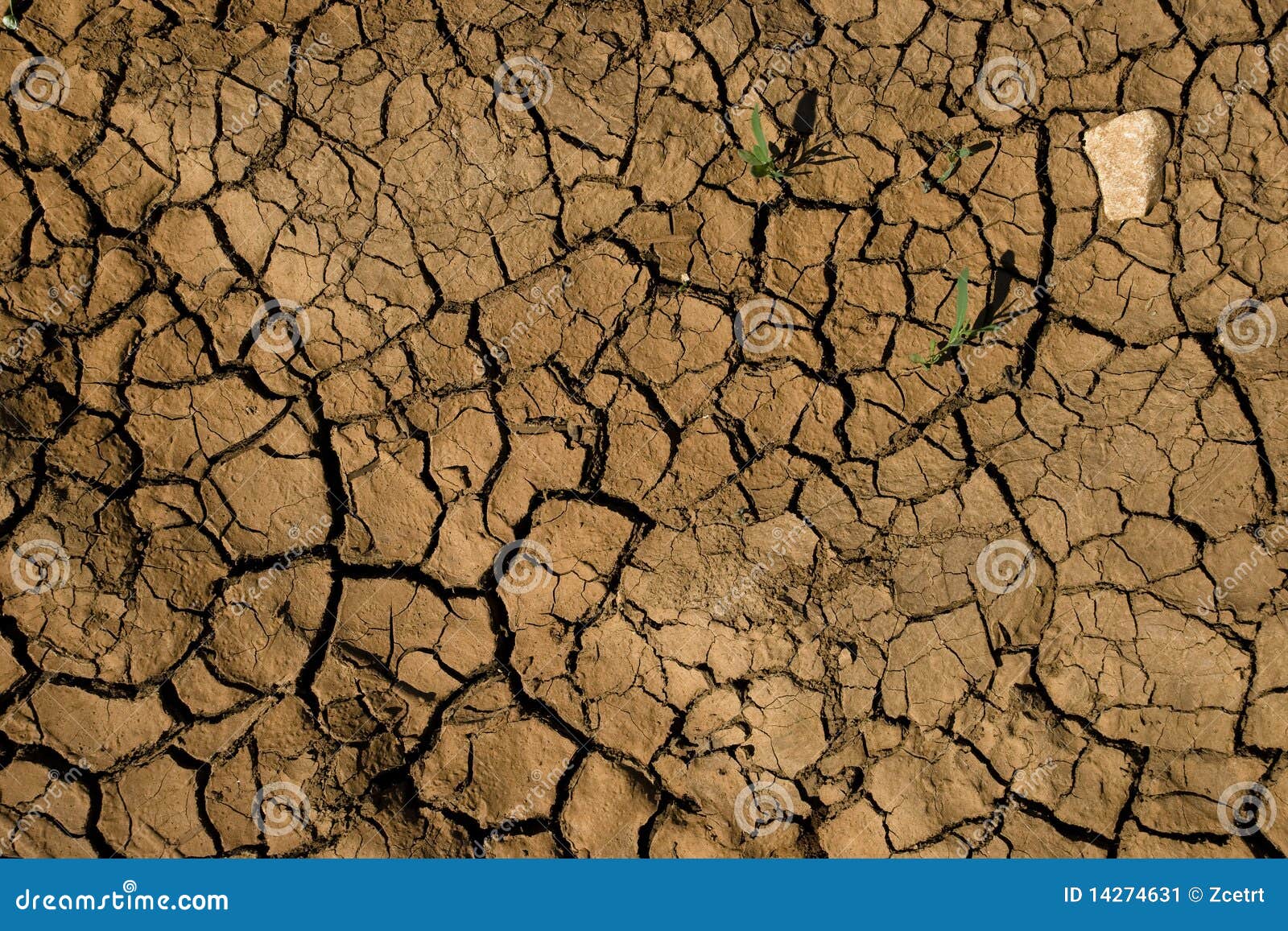 Cracked dry soil stock image. Image of drought, field - 14274631